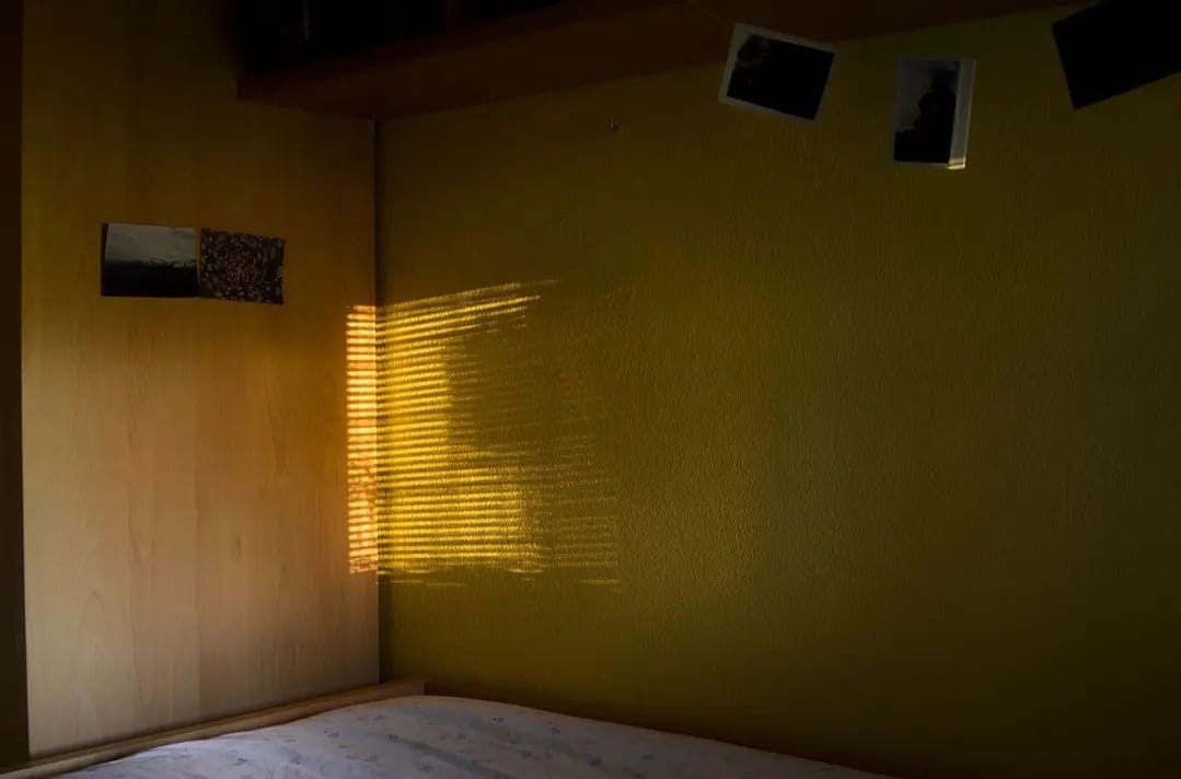 Estrella Caraballo: La luz del sur | by Femgrafía | Medium