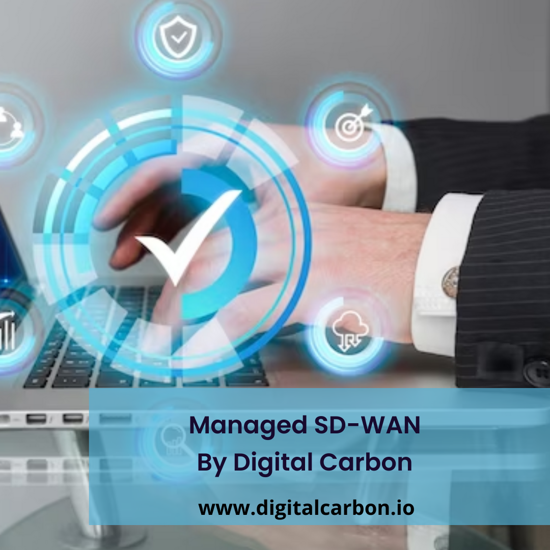 A Dual Approach: Exploring Co-Managed SD-WAN by Digital Carbon | by Digitalcarbonuk | Medium