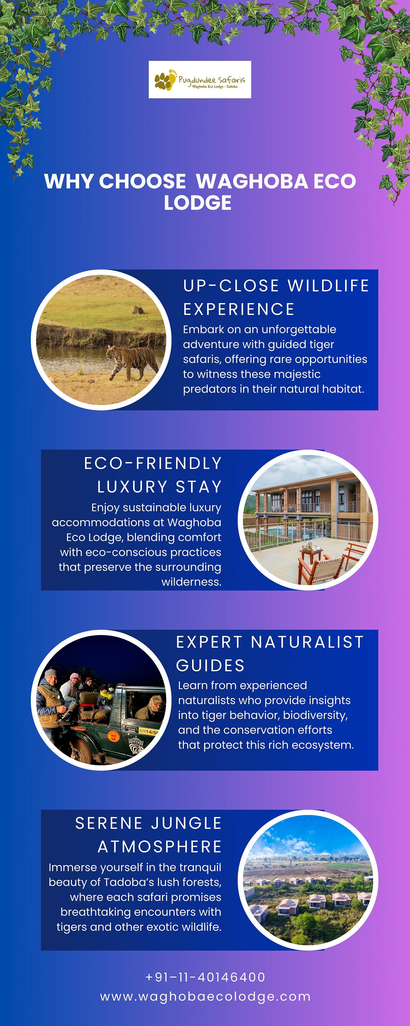 Finding the Ideal Resort in Tadoba: A Comprehensive Booking Guide ...