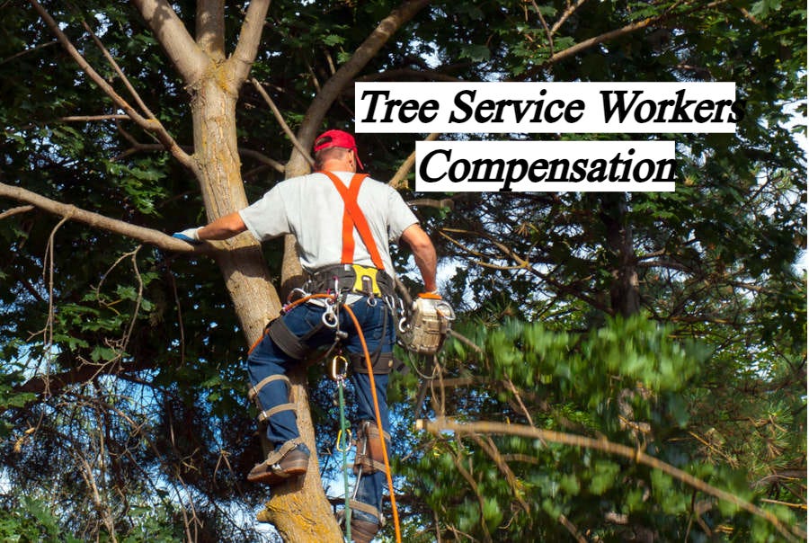 Trucking Workers Comp. Truckers are really important because… | by ...