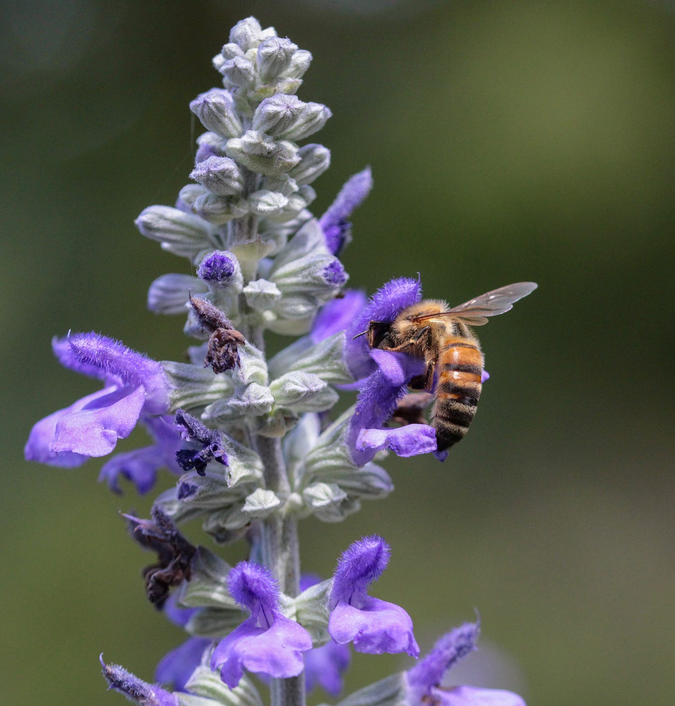 Our Season. A Love Poem | by Luke Levi | Nature Poetry | Oct, 2024 | Medium