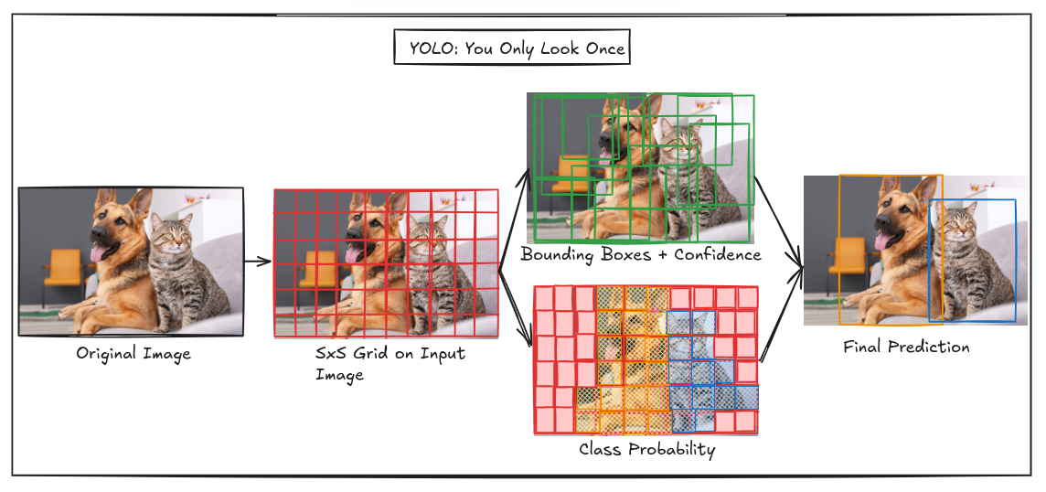 Image Classification vs. Object Detection vs. Image Segmentation | by ...