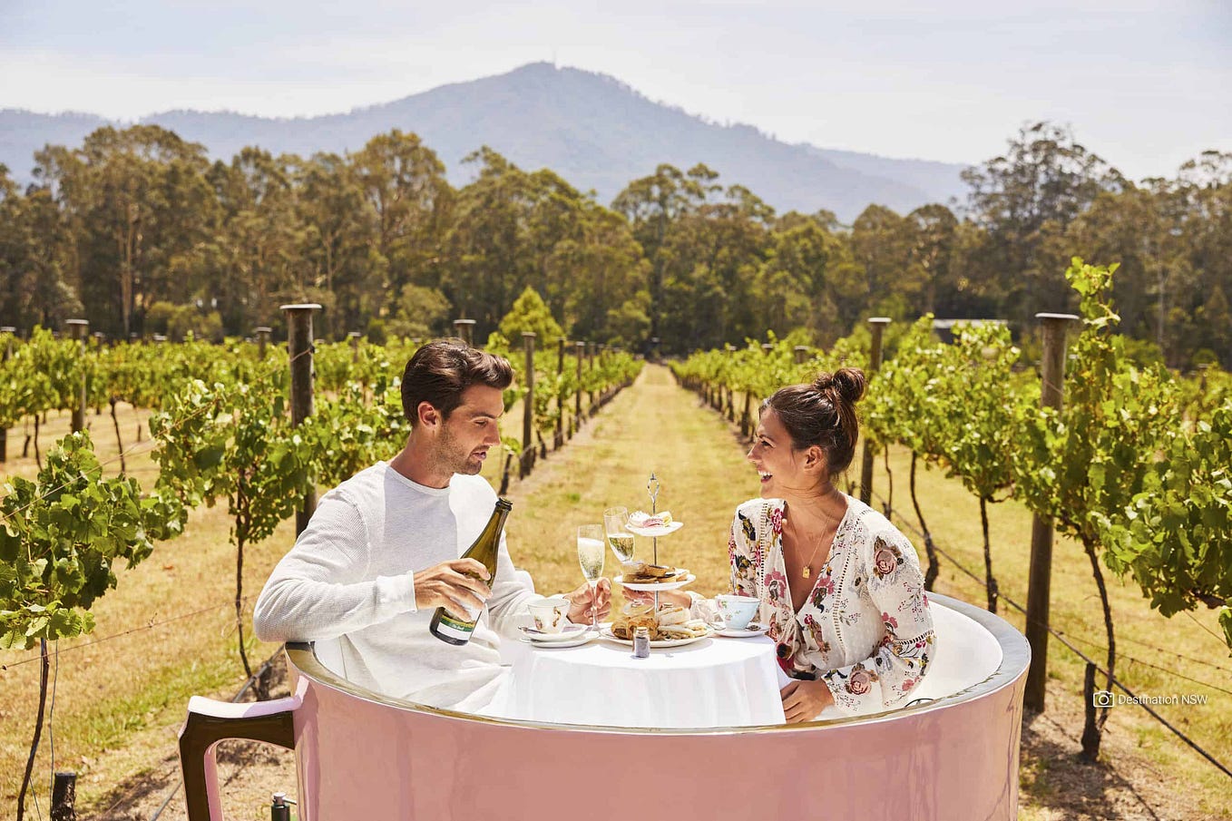 The Ultimate Guide to Planning a Hen’s Party Wine Tour: Creating ...