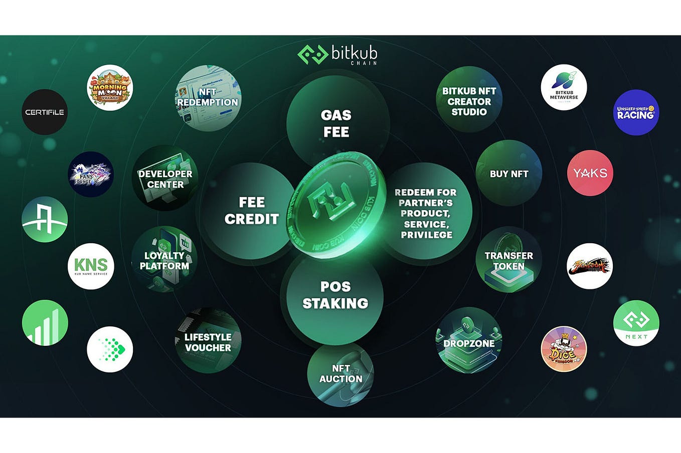 Bitkub Coin Airdrop Guide: How to Claim Tokens Worth $500 | by $KUB Prize Vault | Nov, 2024 | Medium