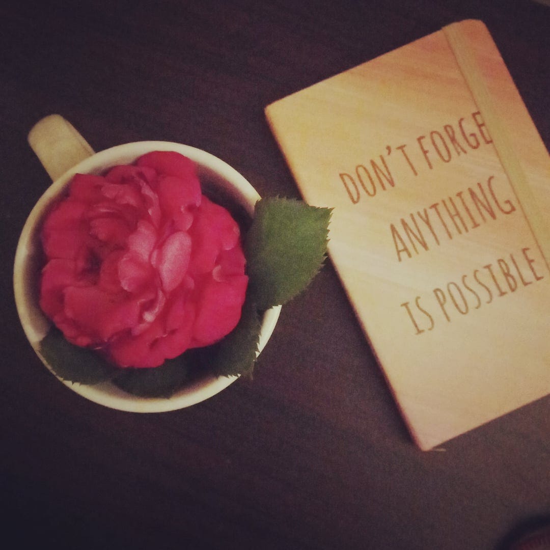 Beautifully written!! | by Marium A Sheikh | Medium