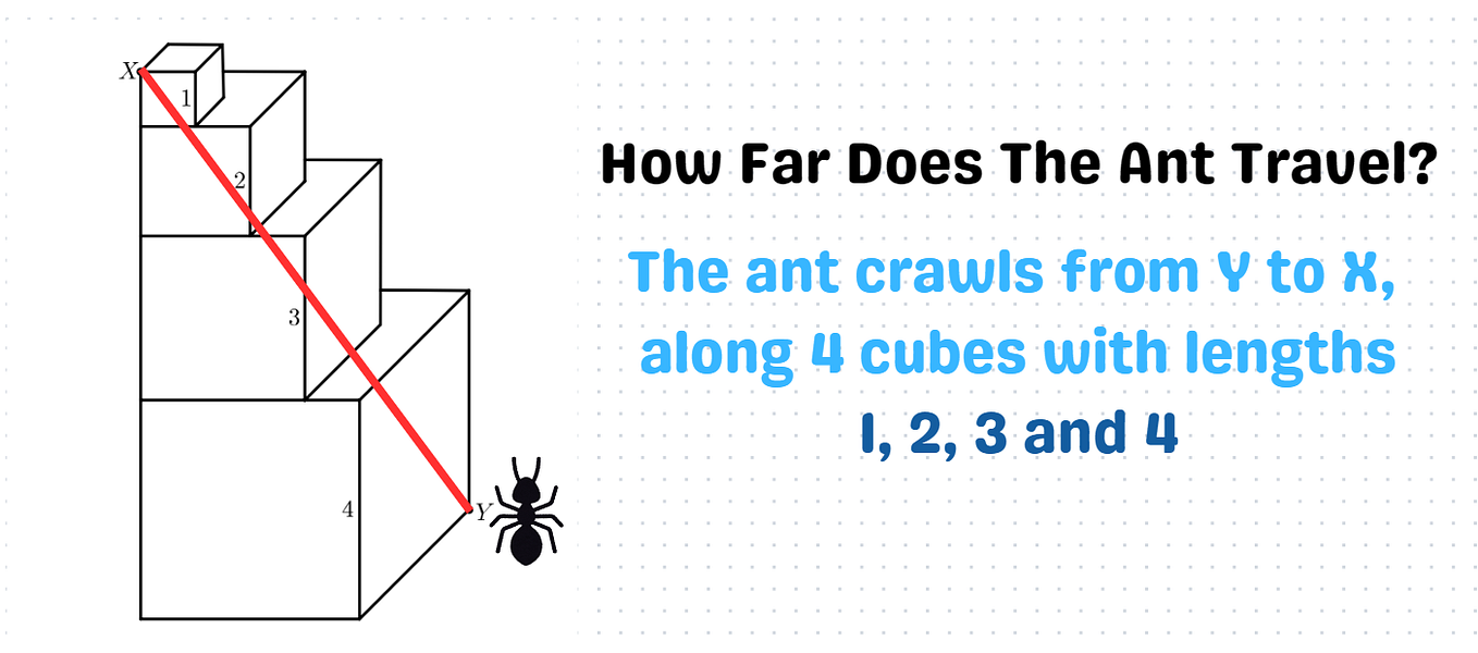 Linear Algebra 2: Echelon Matrix Forms | by tenzin migmar (t9nz ...