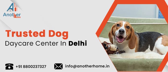 Why Should You Visit a Dog Care Center? | by Anotherhomeindia | Apr ...