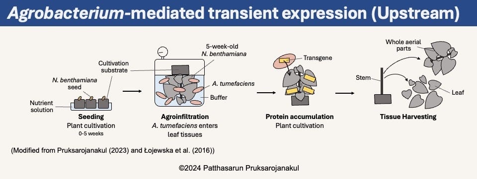 [PMP Reading Notes#3] Impact of plant composition on protein extraction ...