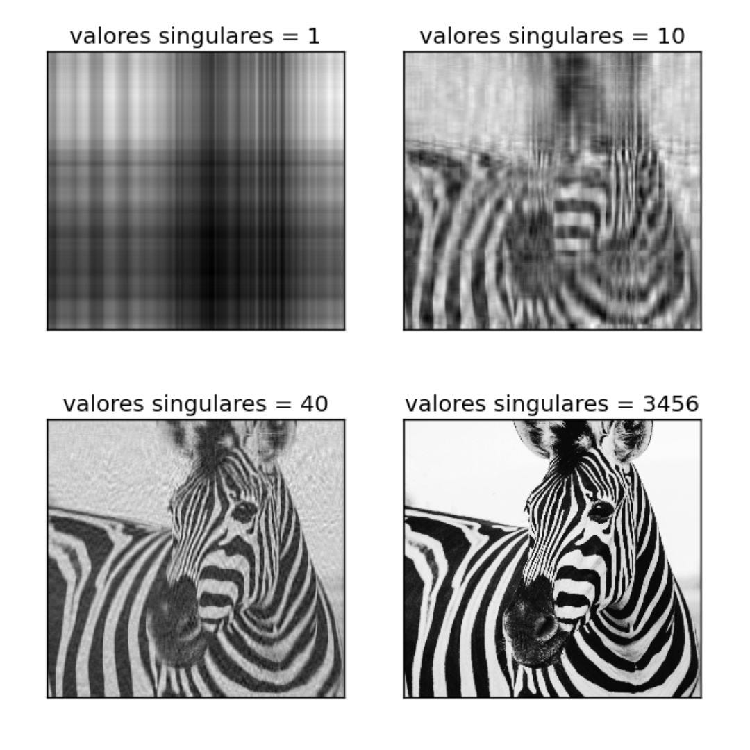Transformando Imágenes En Matrices Con Python Numpy Y Plotly 🌅 By