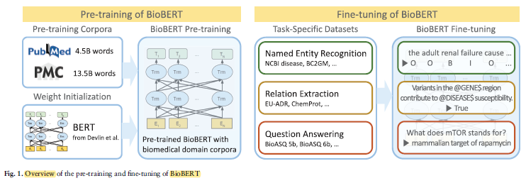 Microsoft’s BioGPT: A GPT-based Language Model for Biomedical Text Processing | by Tavleen Bajwa ...