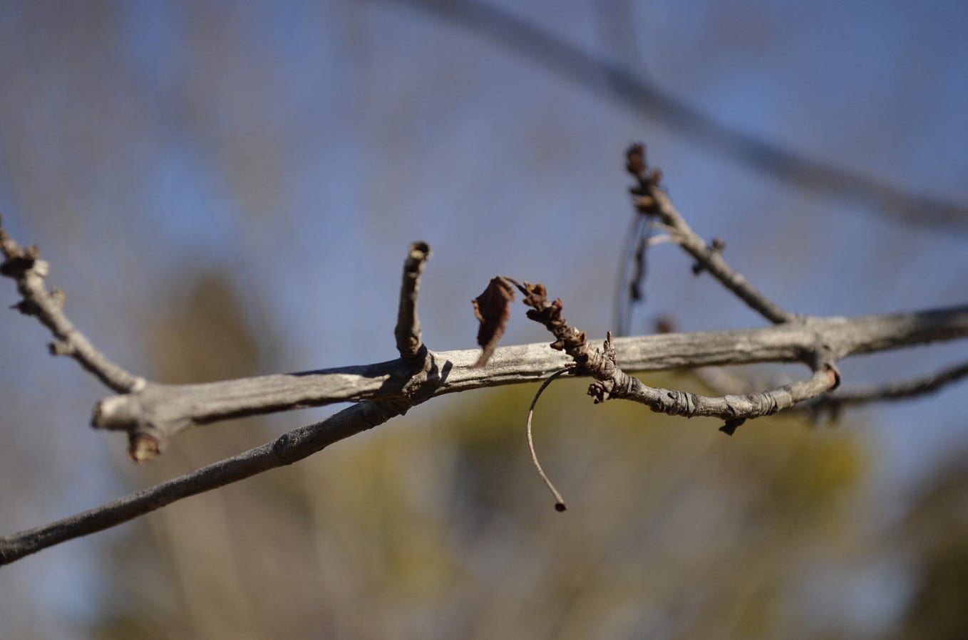 Splunk: Install Linux Universal Forwarder | by DevOps Pro | Medium