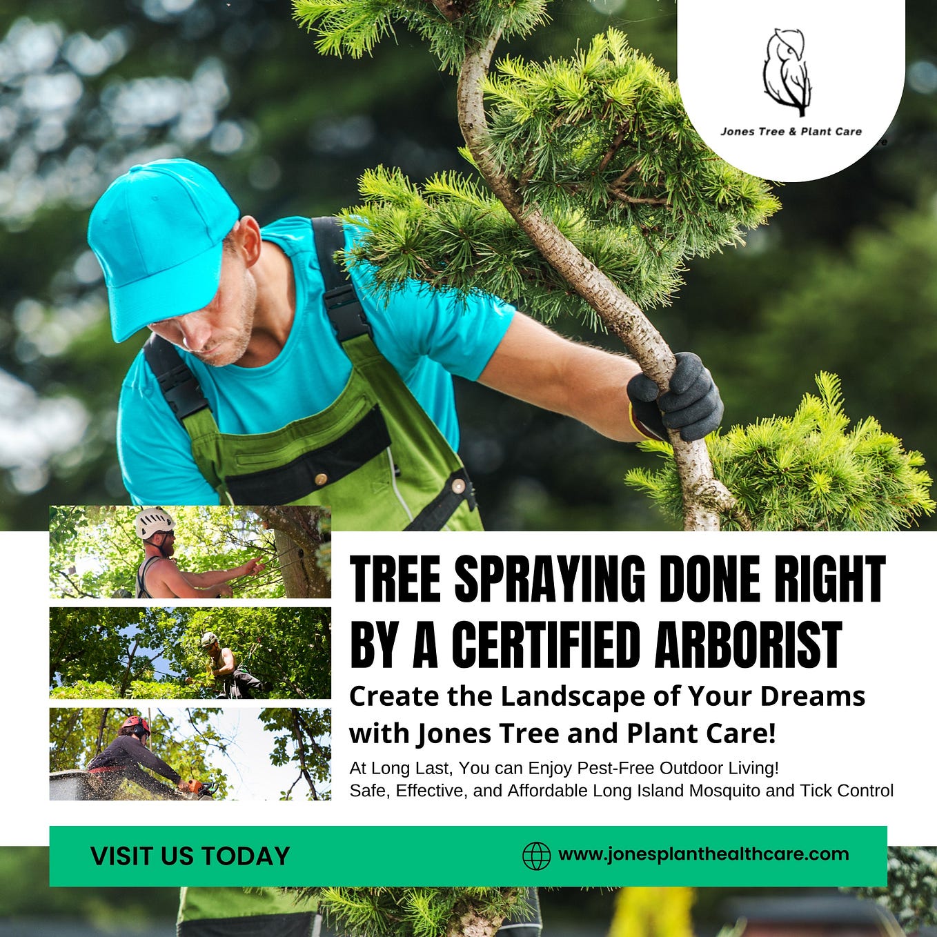 Arborist — Smithtown, NY. The Importance of Arborists: Experts in… | by Jones Tree & Plant Care ...