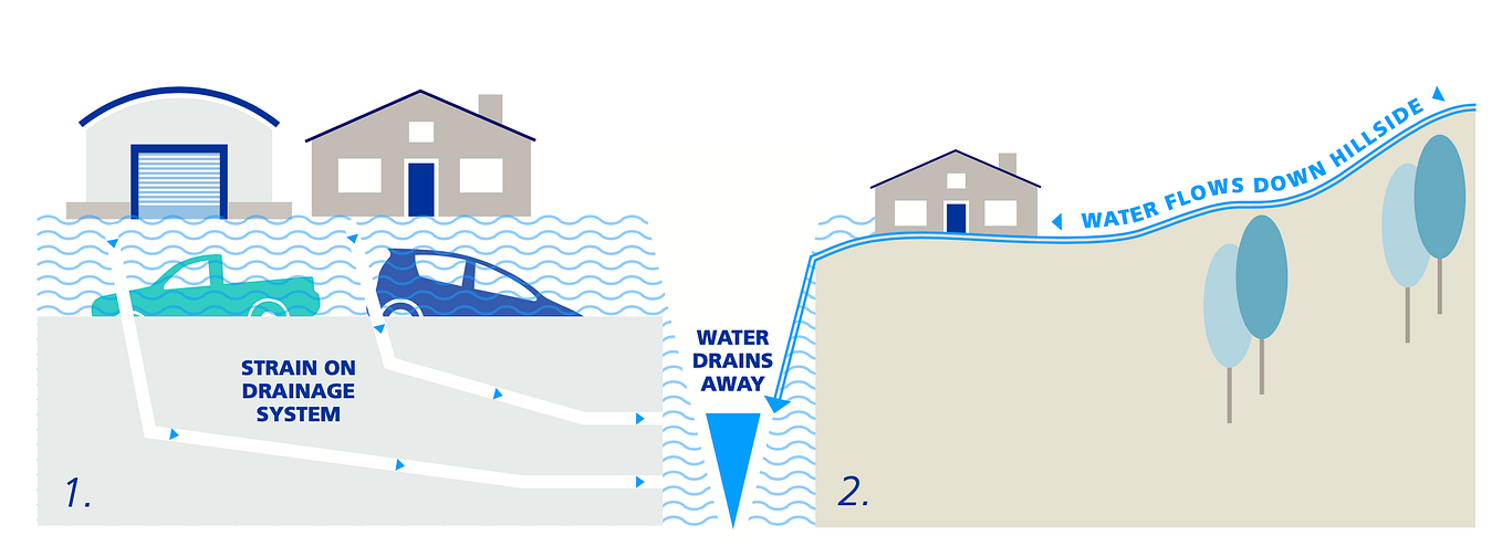 How to Code on LeetCode from the Terminal | by Steven Gong | Steven Gong