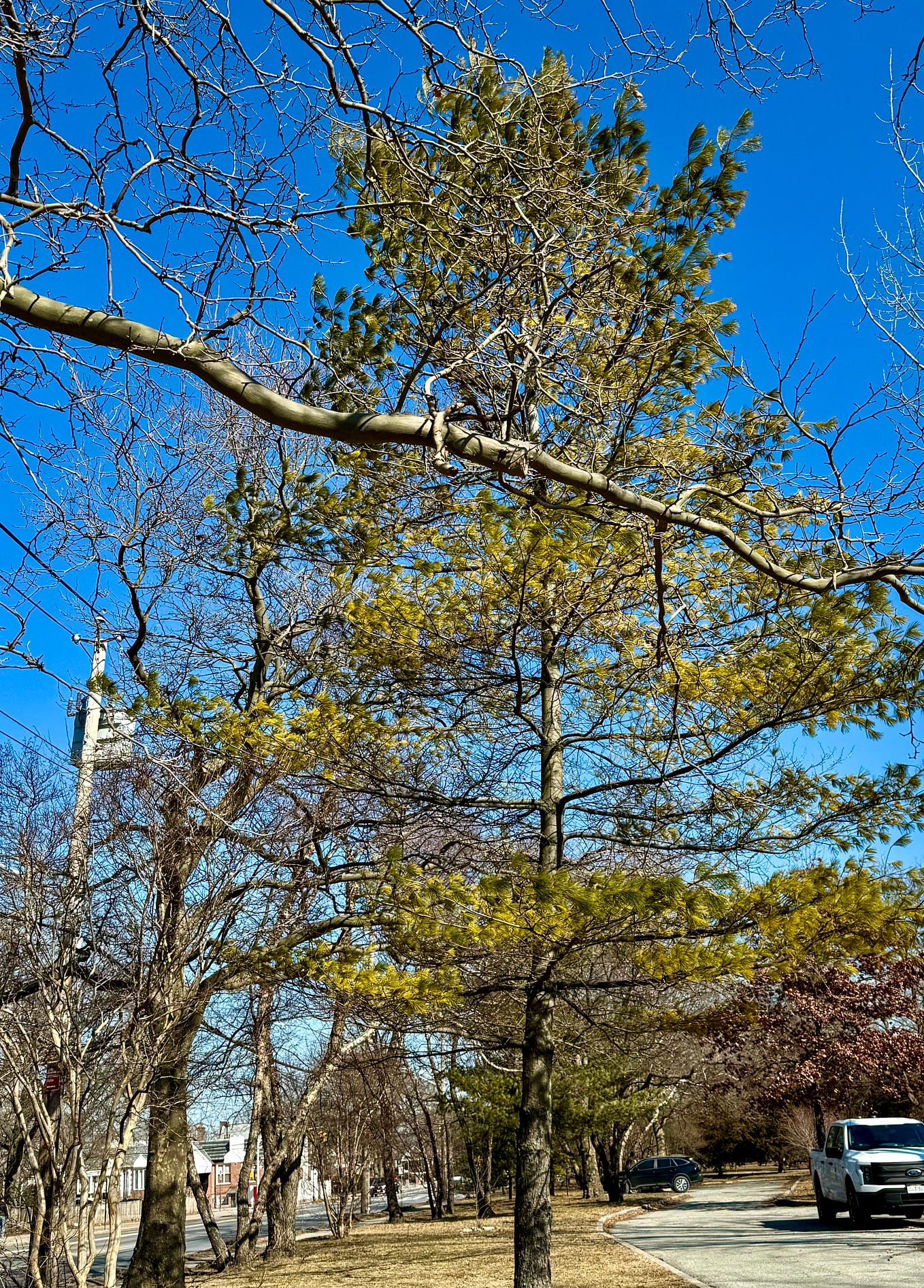 Clouds And Contemplations In The Pane: Join My 365-Day Peaceful Photo Challenge | by Michelle A ...