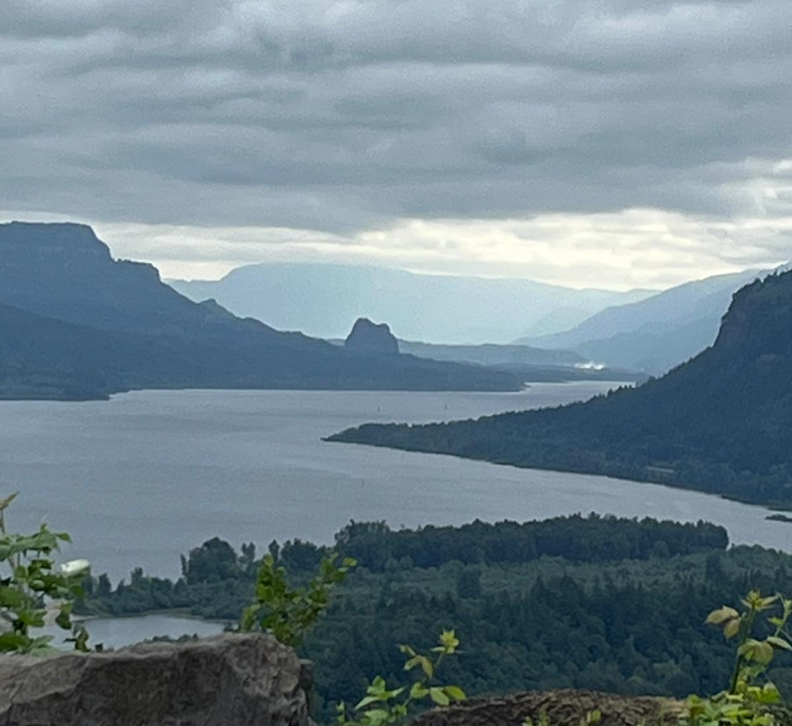 One smart and level-headed person on the team often does the job ...