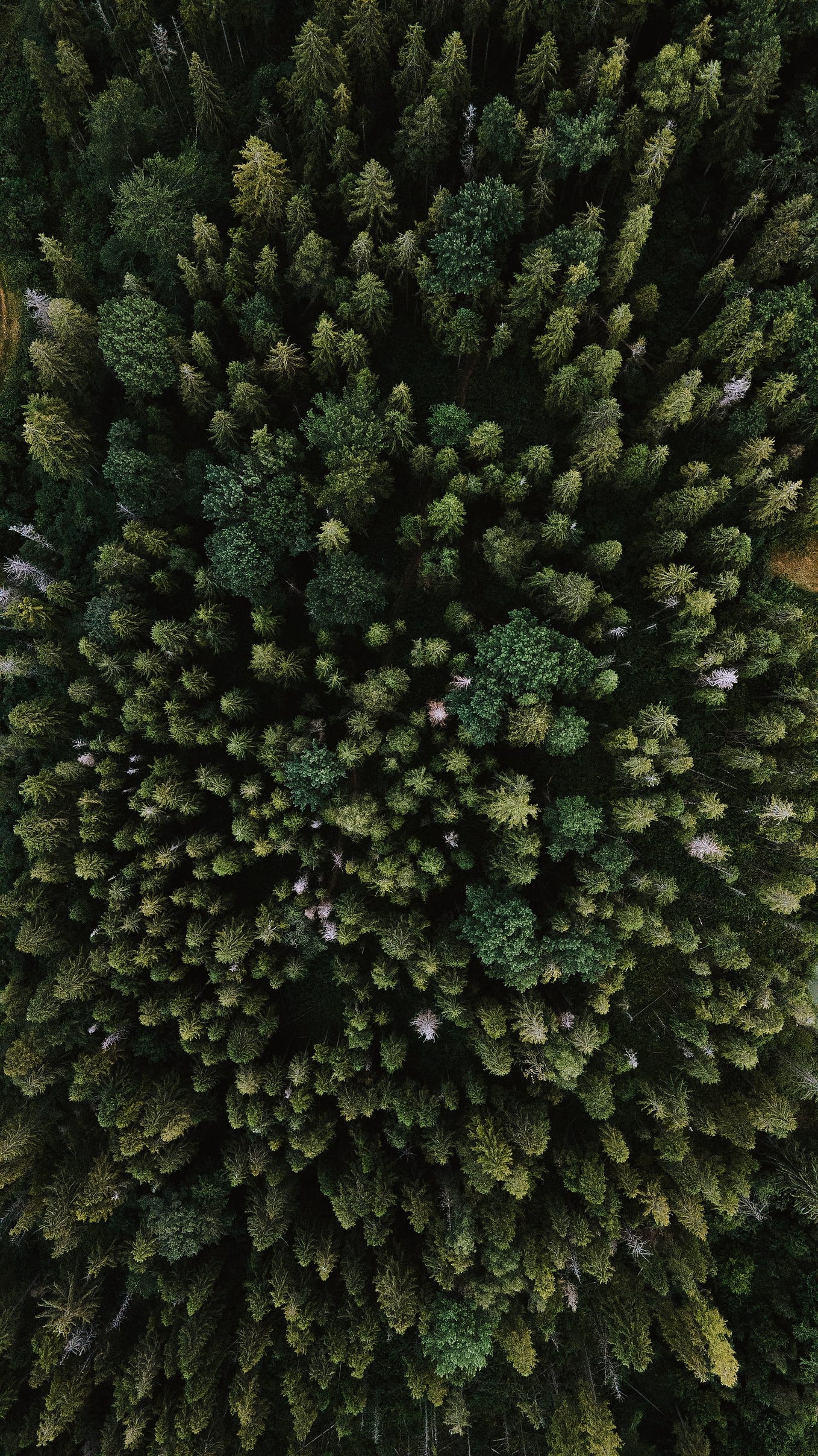 Arterial and Venous Diseases. A thigh cramp, a swollen leg, and… | by ...