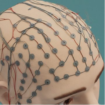 A Techy’s Introduction to Neuroscience | by Uri Shaked | NeuroTechX Content Lab | Medium