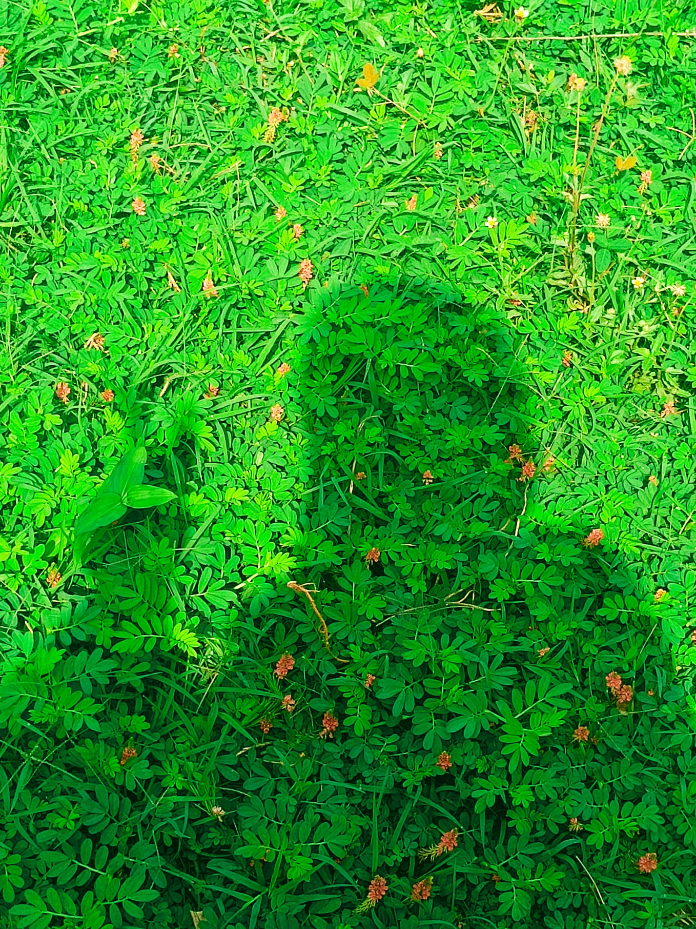 REFLECTING ON THE VERIFICATION OF JOURNALISM | by Mide's Write | Apr, 2025 | Medium