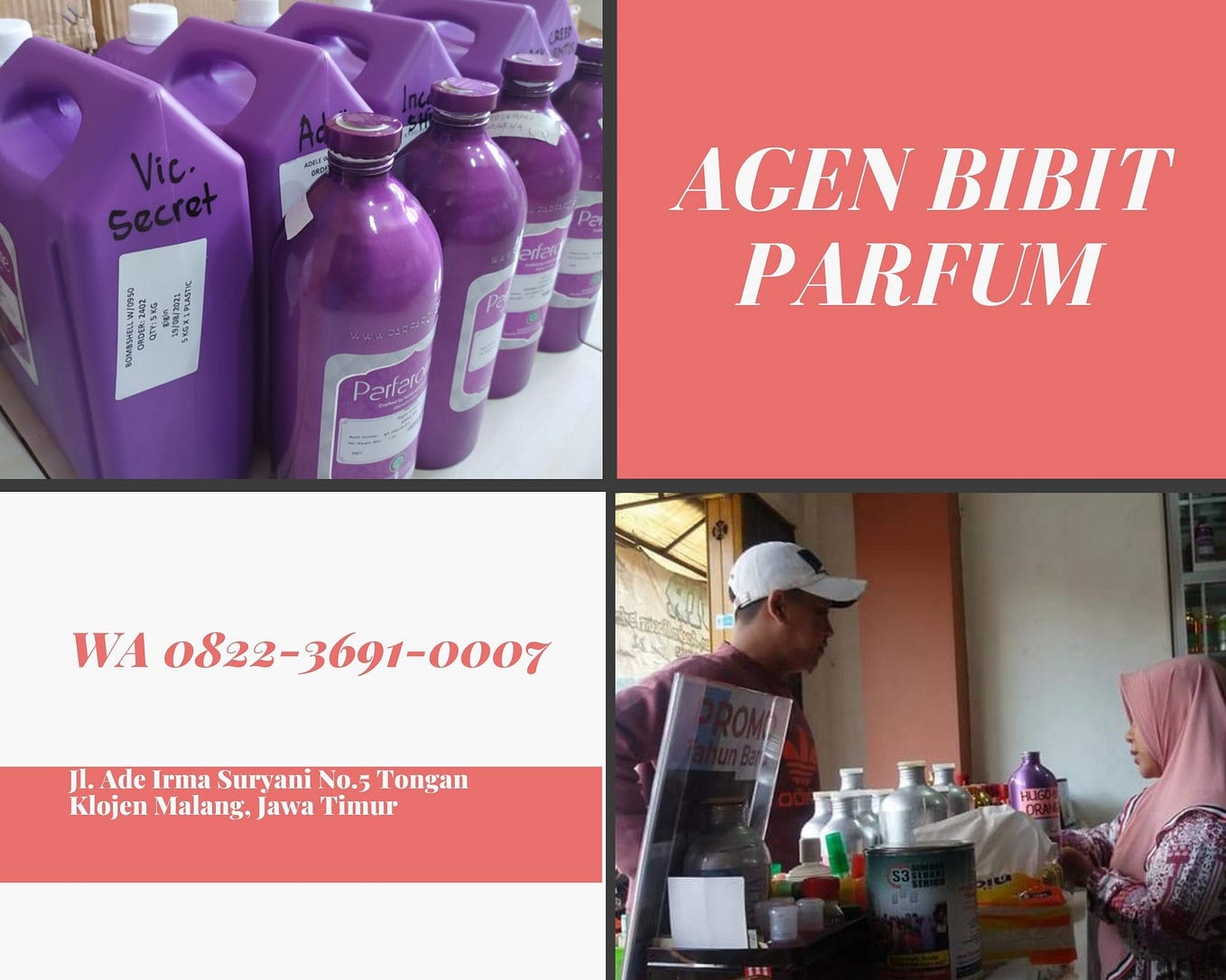 WA 0822–3691–0007 Agen Bibit Parfum Magetan | by AGEN BIBIT PARFUM ...