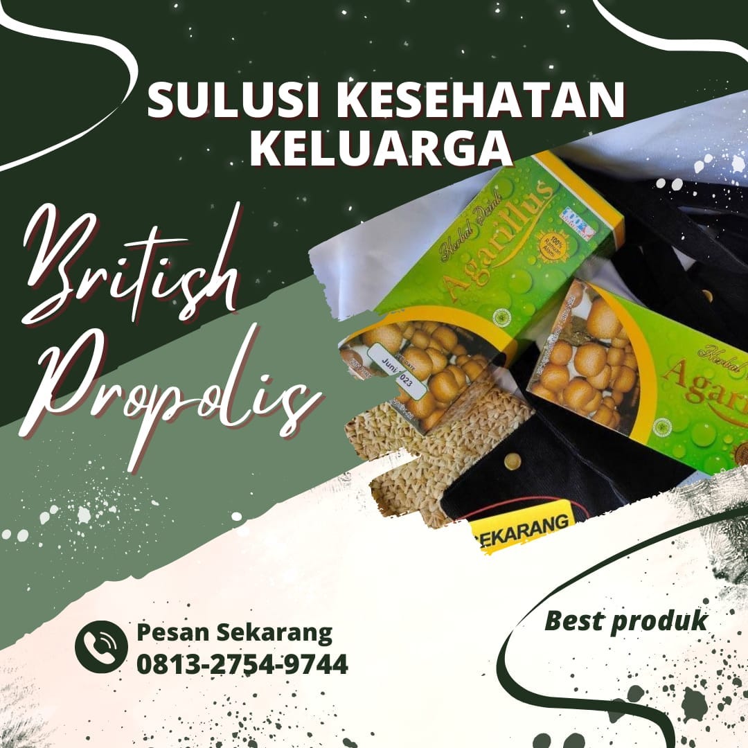 DAPATKAN MOTOR !!! CALL/WA 0813–2754–9744 Stokis Agarillus ...