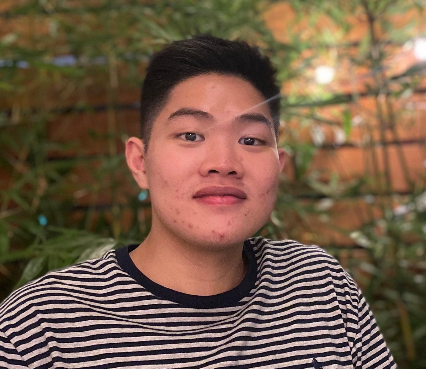 CS373 Fall 2022: Vu Bui Blog #10. What did you do this past week? | by Vu Bui | Medium