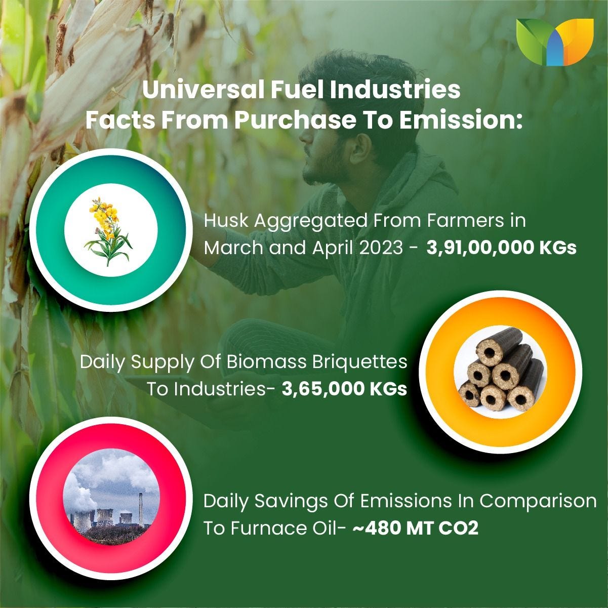 Green Solutions Hub: Unveiling the Best Biomass Briquette Suppliers and ...