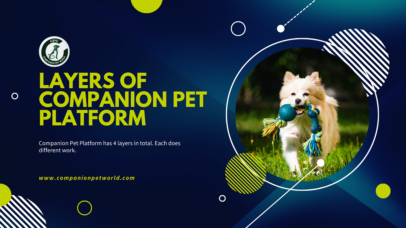 DNA Profile Contains? - Companion Pet World - Medium