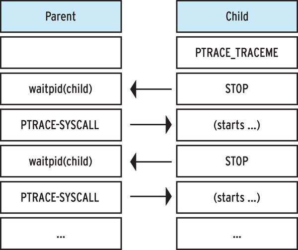 Demystifying the ELF Format: Unveiling the Secrets of Binary Executables | by Razika Bengana ...