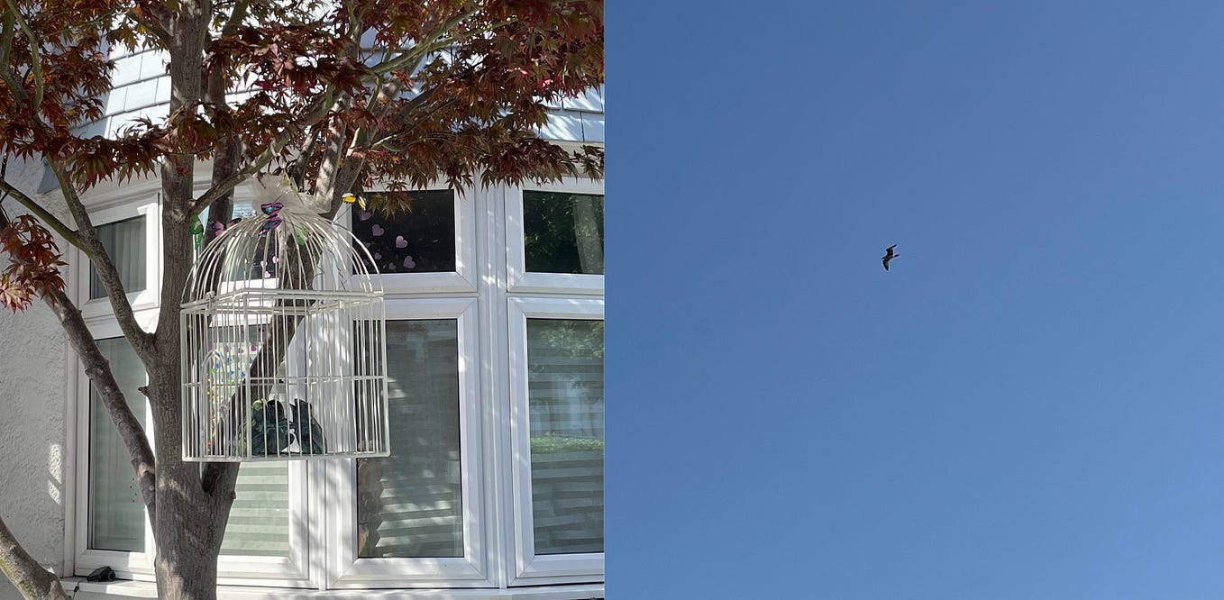 How to Safely Exit an Abusive Relationship: Step 1 | Medium