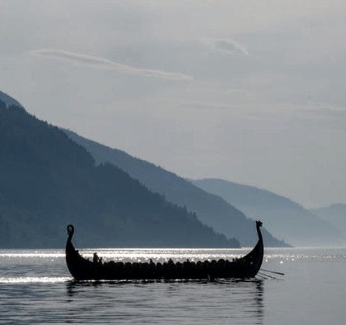 Ravens in the Viking Age. Ravens were the sacred birds of the… | by ...