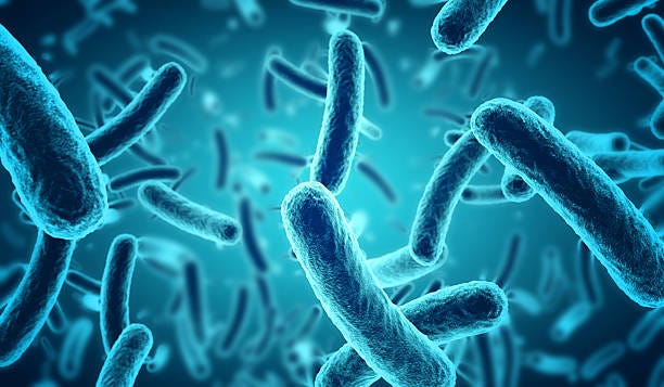 Nitroplast discovered?. In breaking news, a discovery has been… | by ...
