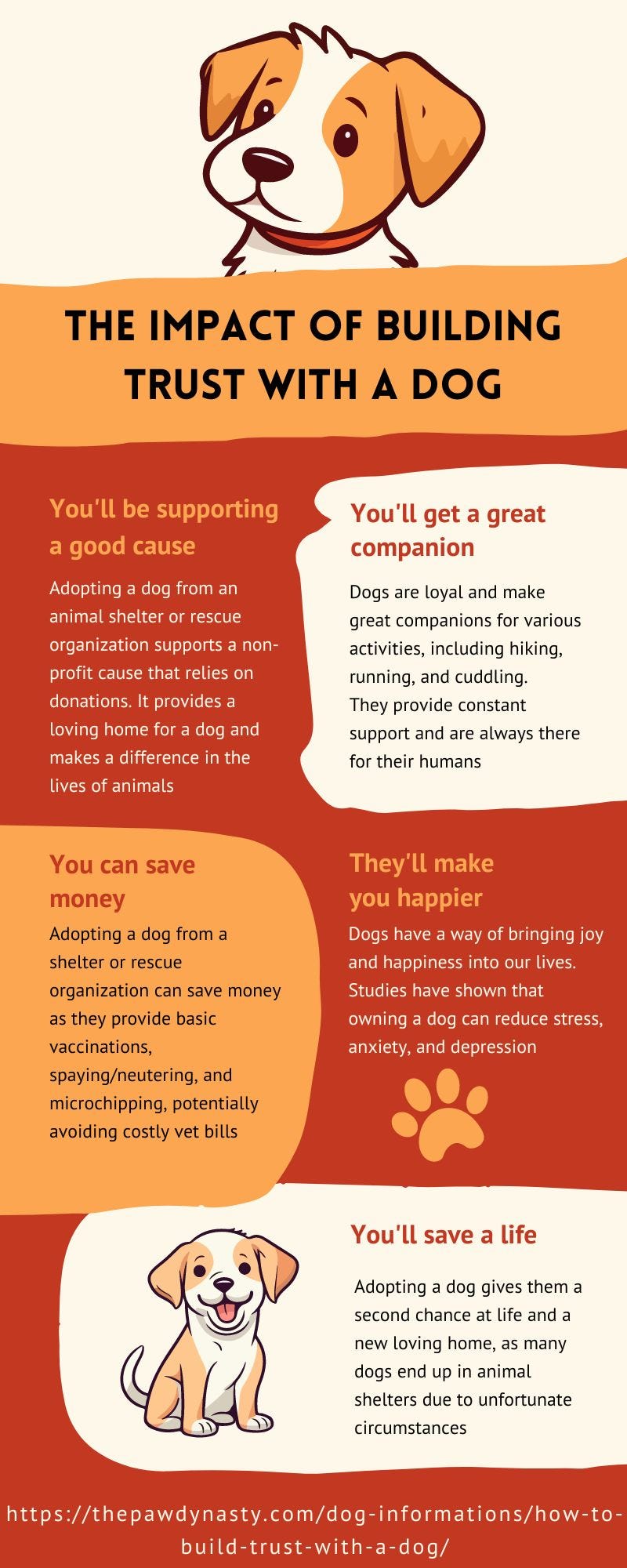 How to Care for Your Mature Adult Dog - Thepawdynasty - Medium