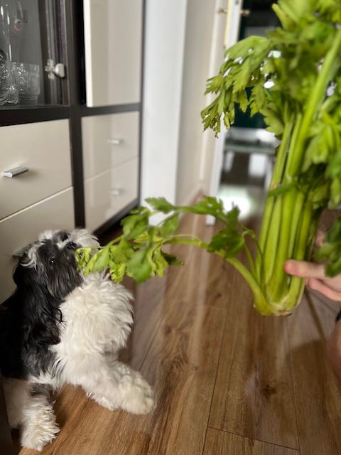 Consuming And Publishing Tasks In Celery At A Steady Rate By Marin Aglić Medium