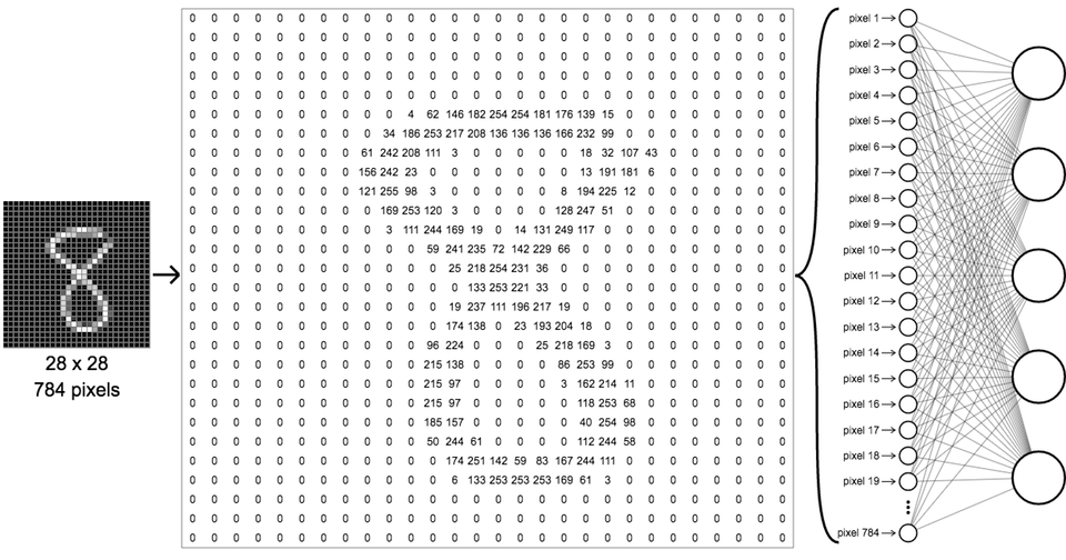 DCGAN Tutorial — Deep Convolutional Generative Adversarial Network | by ...