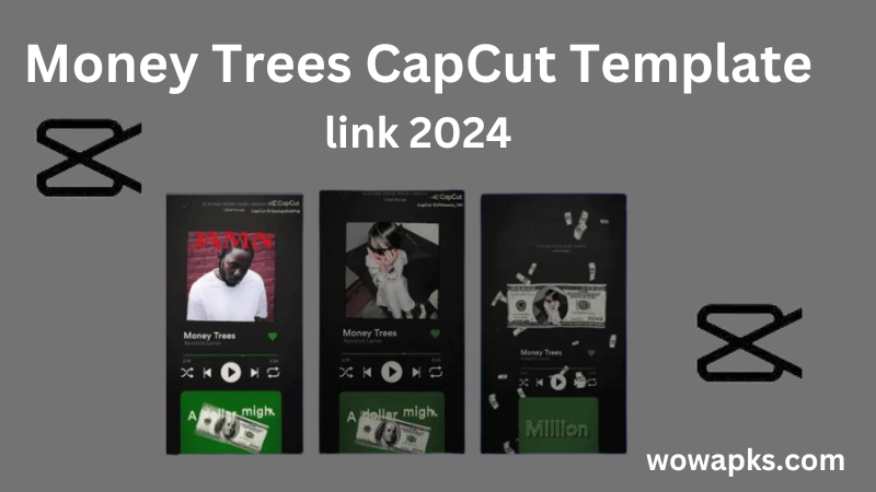 Anh Camera iPhone CapCut Template Link 2024 | by Shahzaib Hassan | Apr, 2024 | Medium