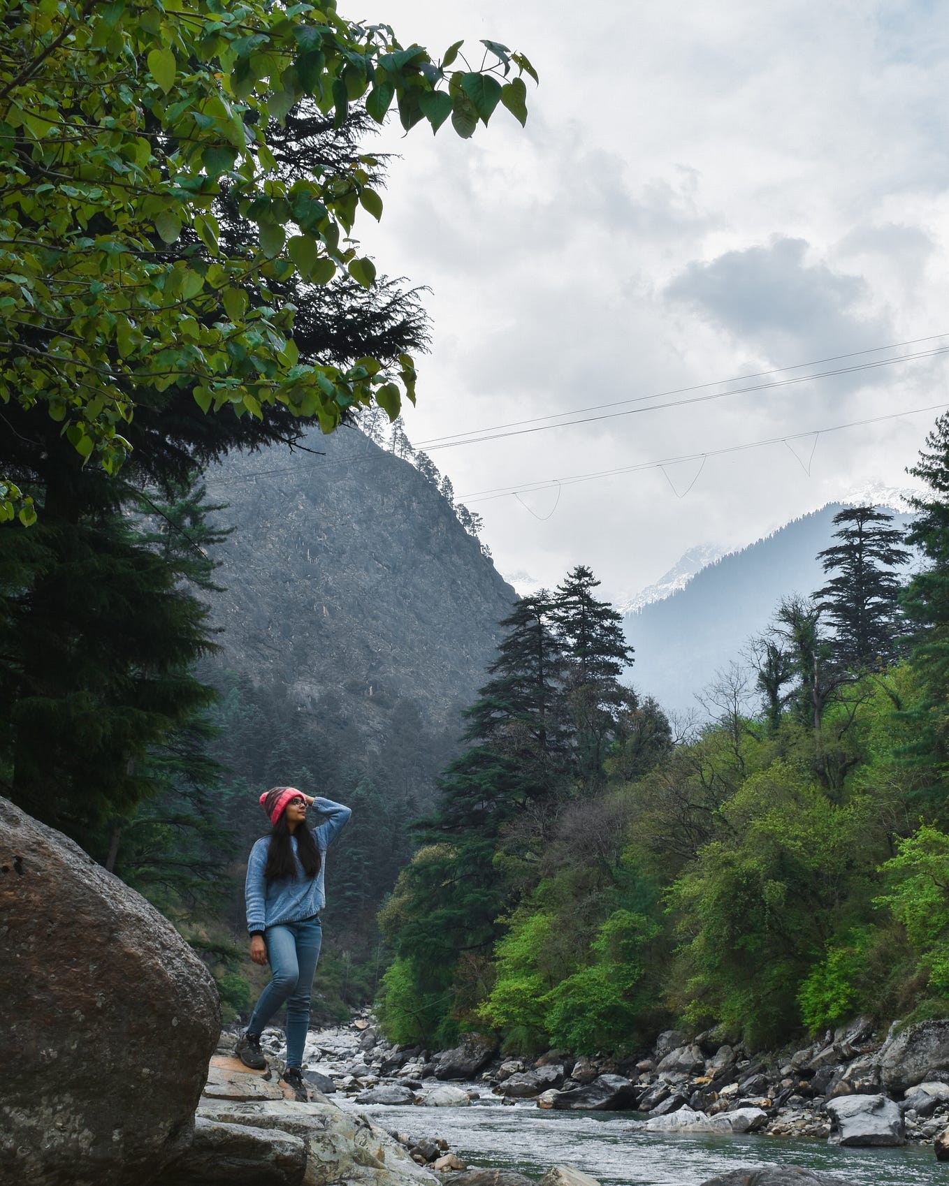 Image Classification with ResNets in PyTorch | by Aditi Bodhankar | Medium