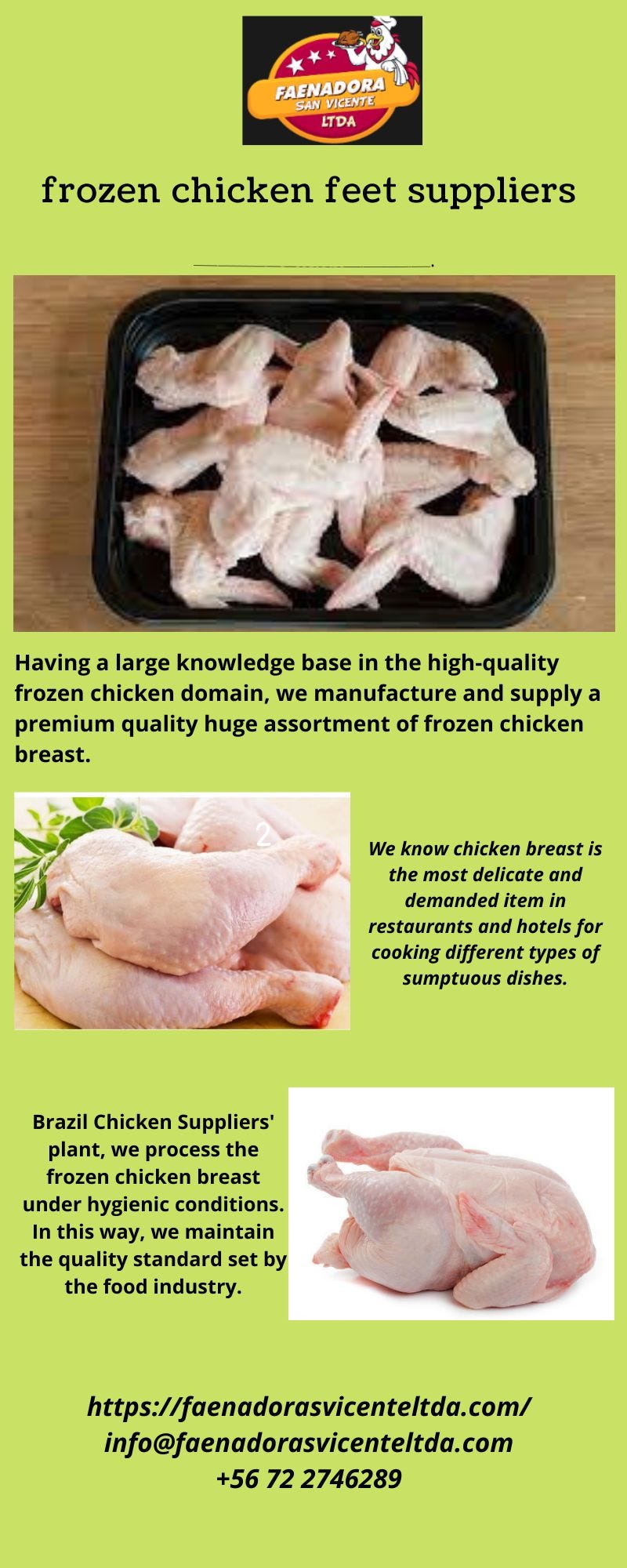 Best Halal Chicken Feet and Paws Suppliers - Chile Frozen Chicken ...