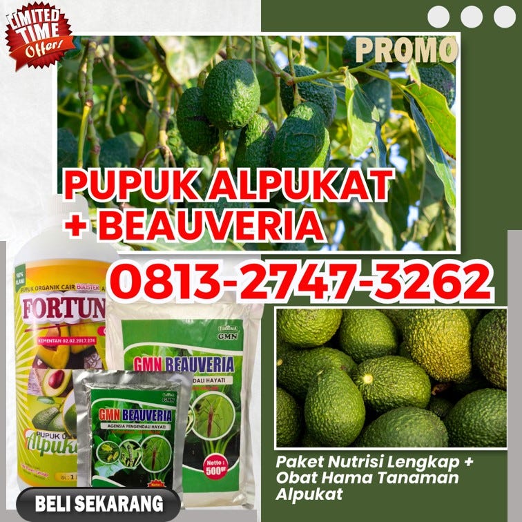 FAST RESPON! 0813–2747–3262, SUPPLIER Pupuk Booster Alpukat Lampung Selatan, Pupuk Alpukat ...