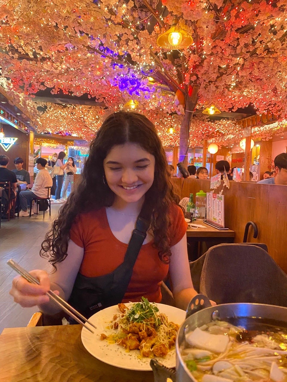 Can Artificial Intelligence Replicate the Human Brain? | by Genevieve Hayes | Cansbridge ...