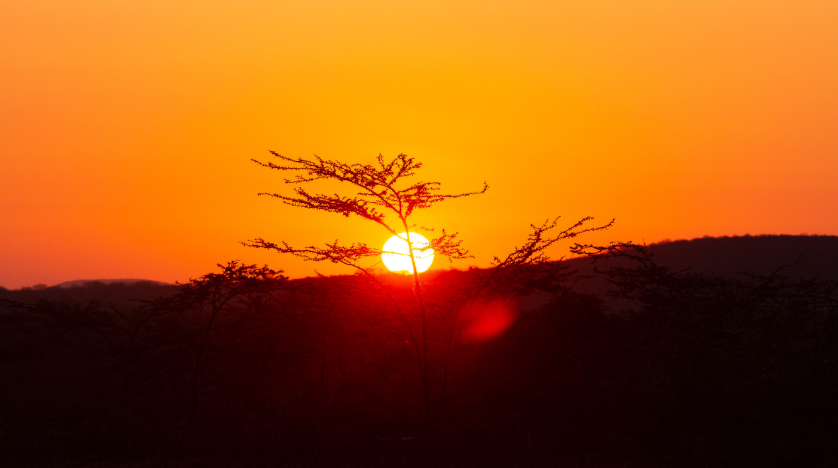 Understanding Land Ownership in Kenya: Leasehold vs. Freehold | by Grand Acres by Goshen ...