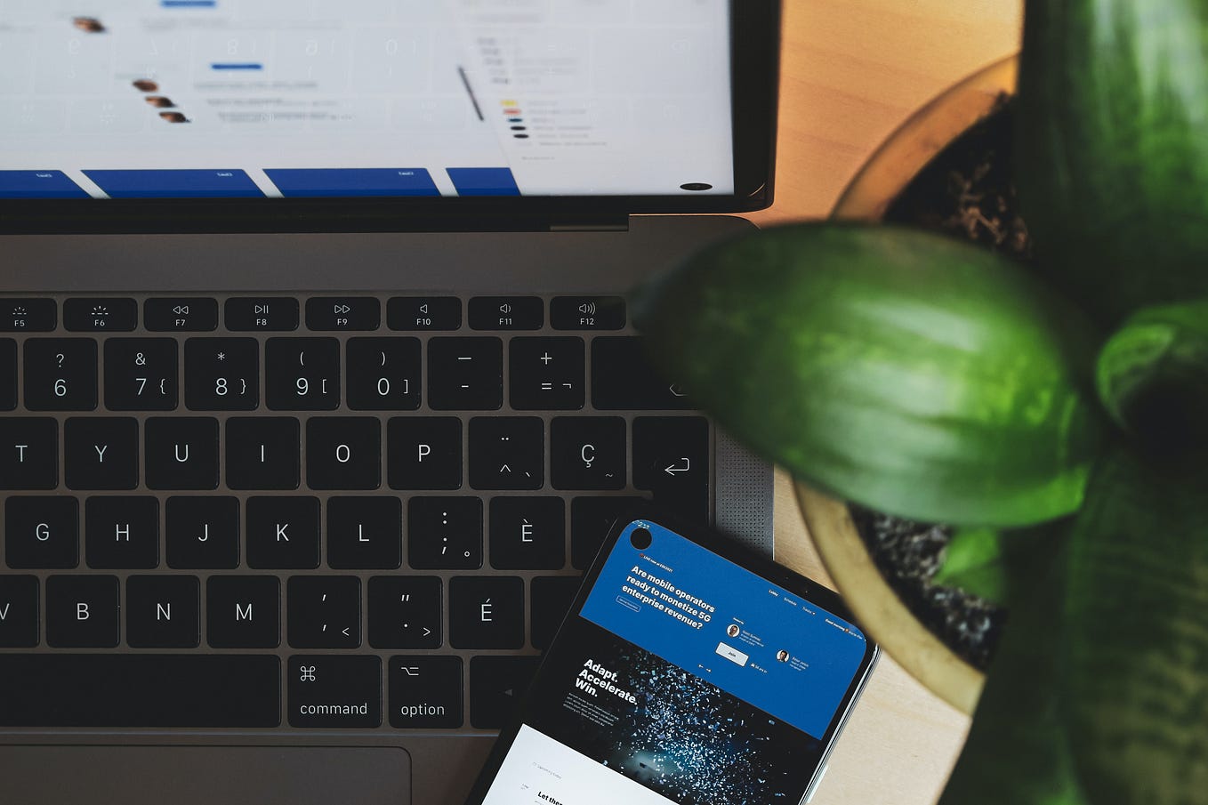 OutSystems Licensing: 5 things you need to know | by Andy Borthwick ...