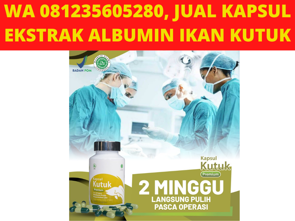 Wa 081235605280, Kapsul sari ikan kutuk, kapsul ekstrak ikan gabus ...