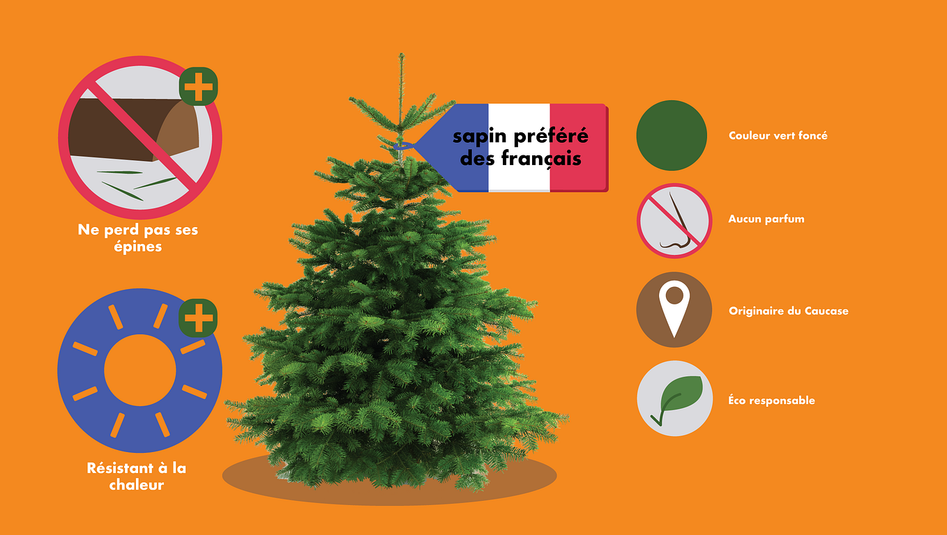Bien choisir son pot !. Les différents types de pots de fleurs | by ...