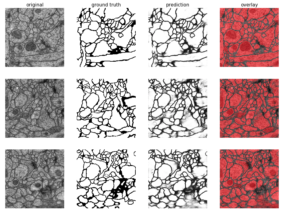 Simple Image Classification using Convolutional Neural Network — Deep ...