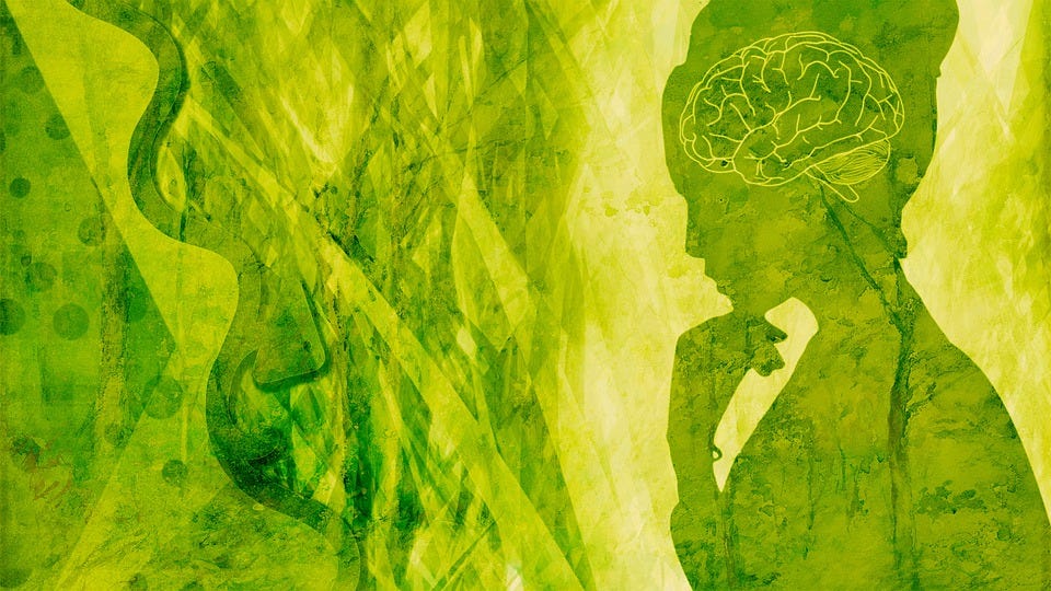 Attract Wealth & Good Fortune With This Psychological Tricks | by Nur M ...