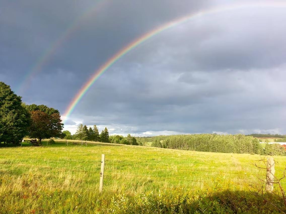 Walk Before Me. Genesis 17:1–7, 15–16 | by David Atwood | Feb, 2024 ...