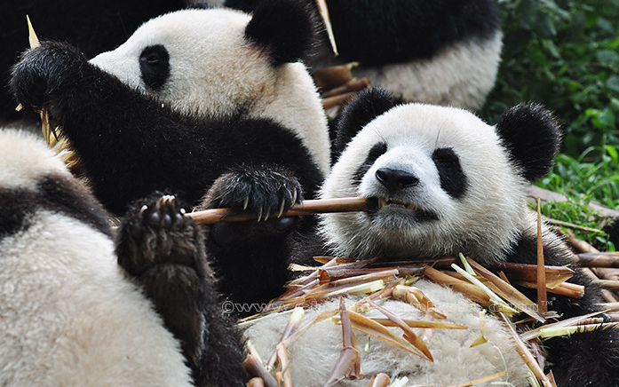 C # using linq Lambda expressions with Like query | by William Liu | Medium