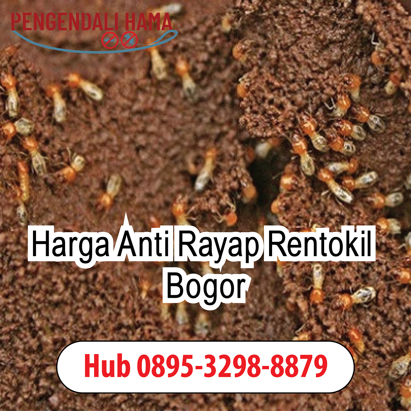 Hub 0895–3298–8879 , Pengendalian Pengendalian Nyamuk Secara Biologi ...