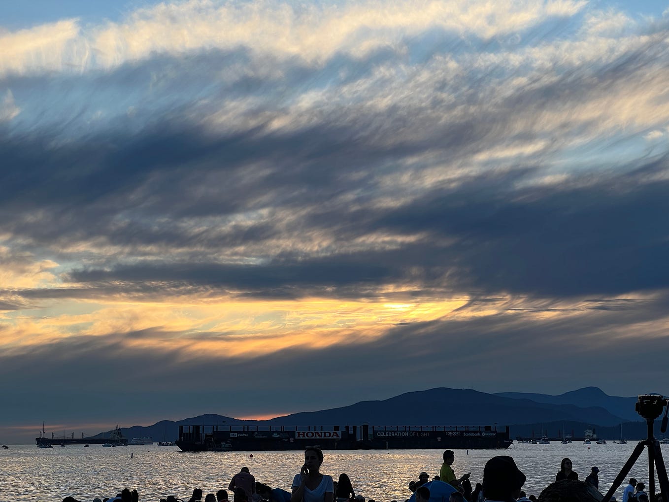 Reggie’s SoC, Part 5 of n: The Chicken of Depression Edition | by Reggie Stirling | Medium