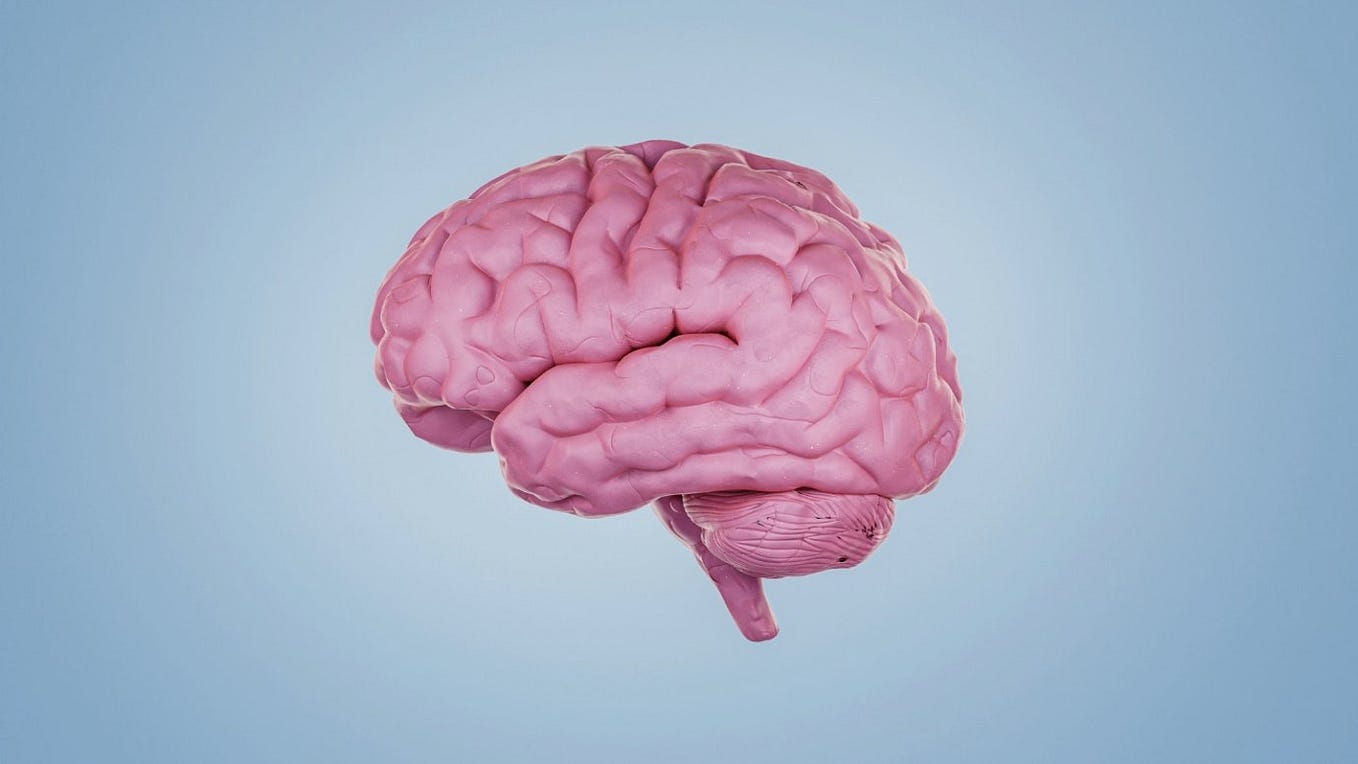 Nature & Nurture: The Case of Jim Lewis and Jim Springer | Insights of ...